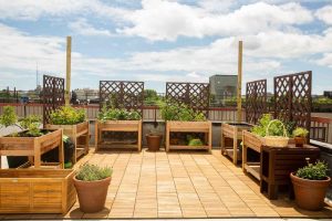 How to Make a Roof Garden: A Complete Step-by-Step Guide - Homey Plans